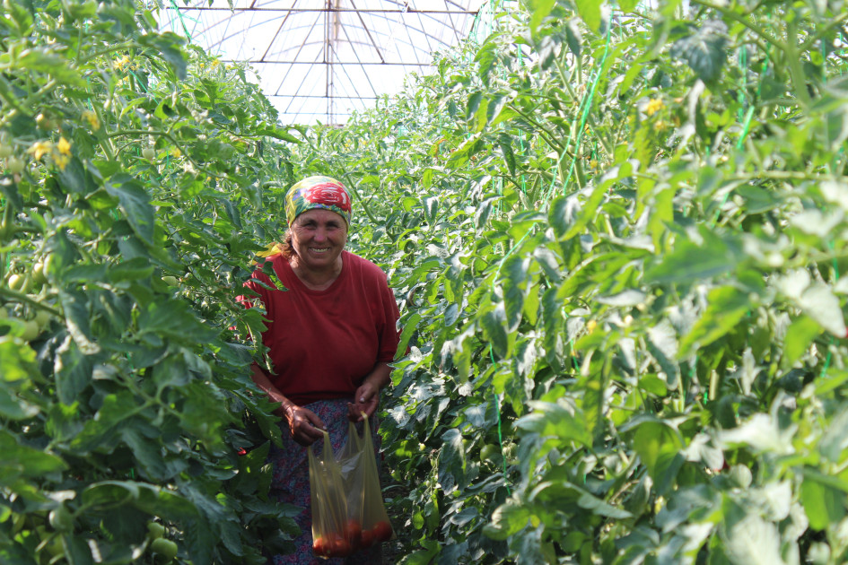 Sustainable Livelihood & Environment - People in Need